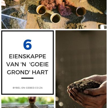 15 VERSE WAT HOOP GEE - Bybel En Gebed