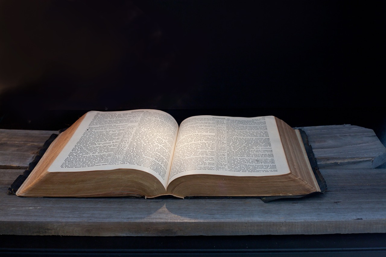 BIOGRAFIE-BYBELSTUDIE: STEFANUS - Bybel En Gebed